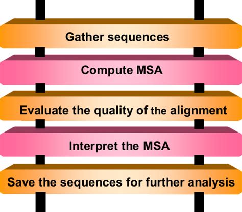 The General Steps Of Msa Analysis With Msa Programs Includes Four