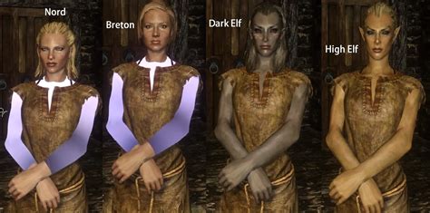 Texture Issues At Skyrim Nexus Mods And Community