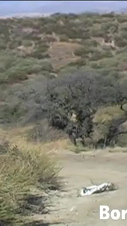 Marissa Marcelle Porn Videos Porn Star Sex Scenes XHamster