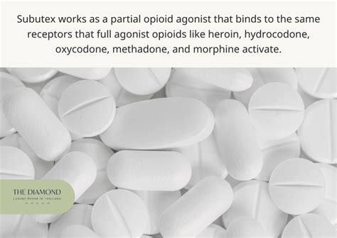 Subutex Definition Side Effects Use Administration And Interaction