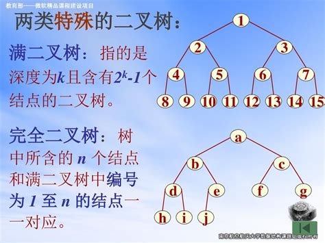 第六章 树和二叉树 Ppt Download