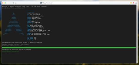 A Simple Linux Terminal Rwebsim