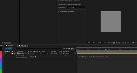 Time Remap Loop Out Does Not Work Correctly Withou Adobe Product