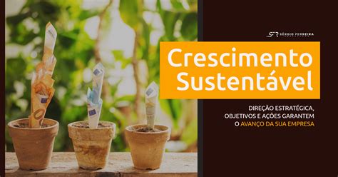 A Realidade Sobre O Crescimento Sustentável Nas Empresas