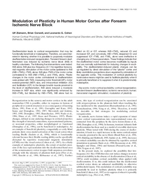 Pdf Modulation Of Plasticity In Human Motor Cortex After Forearm