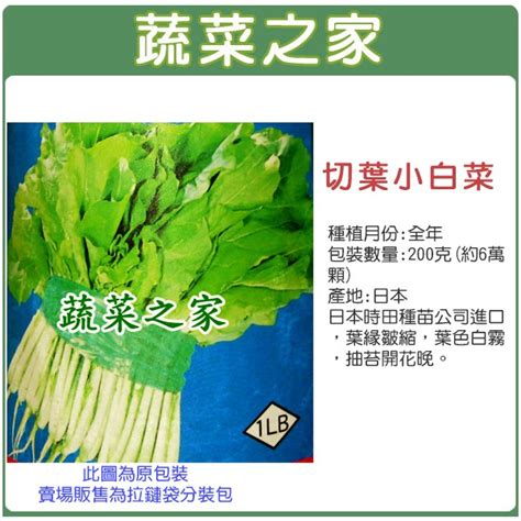 蔬菜之家滿額免運【00a05】大包裝切葉小白菜種子200克 蝦皮購物