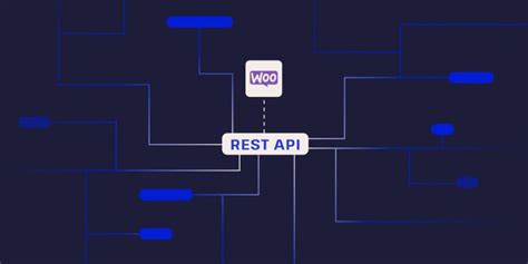 79mplus On Linkedin The Ultimate Woocommerce Rest Api Handbook