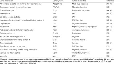 Affymetrix Microarray Data Of Genes Downregulated By Nfi C2 And Download Table