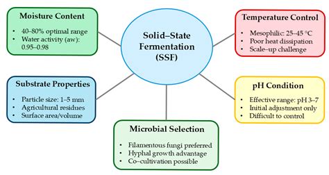 Solid State Fermentation—a Promising Approach To Produce Meat Analogues