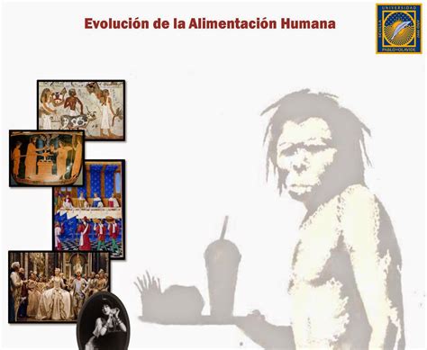 EvoluciÓn De La AlimentaciÓn Humana Introducción Al Edublog De La