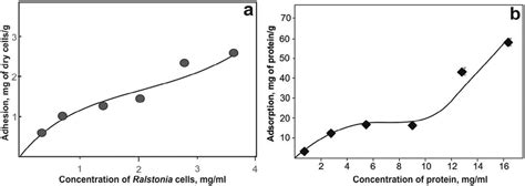 Adsorption Of A Bacteria Ralstonia Eutropha And B Nitrilase From Download Scientific