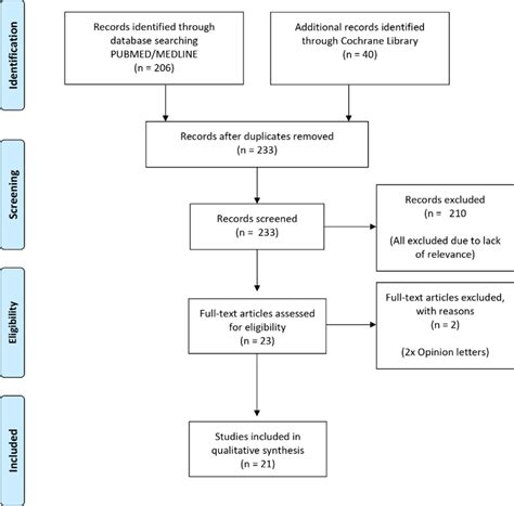 A Flow Diagram Depicting The Phases And Decision Making Process For A Download Scientific