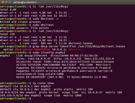 Nmap Dhcp Discover Descubrimiento De Servidores Dhcp De Una Red