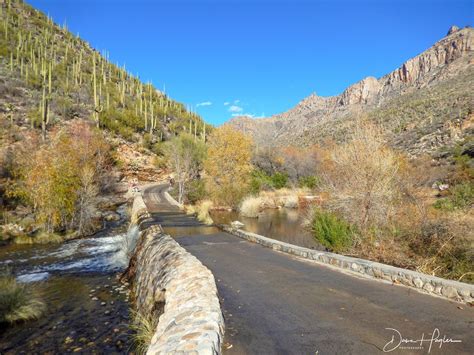 Sabino Canyon A Natural Wonder In Tucson Arizona