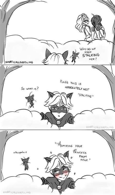 Pin By Nikkyie On Miraculous Ladybug Miraculous Ladybug Memes Miraculous Ladybug Fanfiction