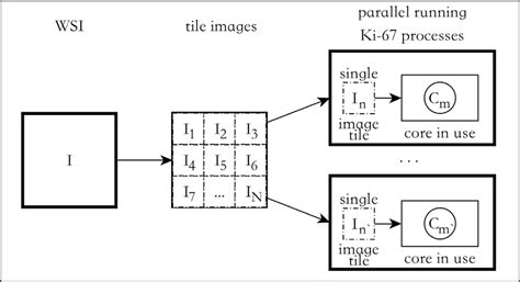 Cluster Execution Schema Of A Parallel Ki67 Analysis Each Process