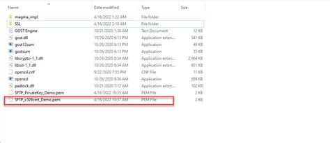 Sap Cpi How To Configuration Cpi Connect To Sftp With Private Public Key Sap Zero To Hero