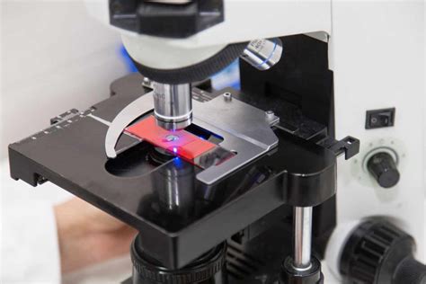 The Power Of Atomic Force Microscopy 4 Important Applications Insider Market Research