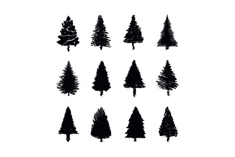 Pine Tree Silhouette Vector Set Graphic By Musa Studio Creative Fabrica