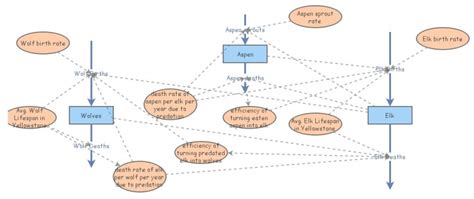 Final Project Insight Maker