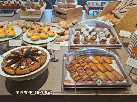 작은카페 And 개인빵집 창업 용품 글루텐 국내 베이커리 카페 매장 진열 사례 오프커스 베이커리 네이버 블로그