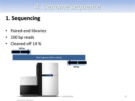 PPT Artemia Genome Sex Locus PowerPoint Presentation Free Download ID 2141818