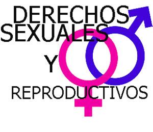 Victoria En La ONU Los Llamados Derechos Sexuales No Son Derechos Humanos Red Familia