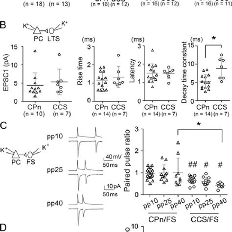 Properties Of Excitatory Synaptic Inputs From The 2 Pc Subtypes Onto Fs