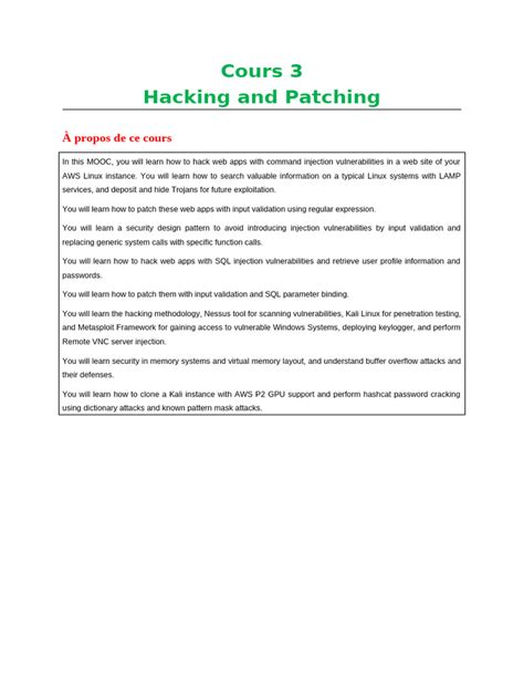 Cours 3 Hacking And Patching Pdf World Wide Web Internet And Web