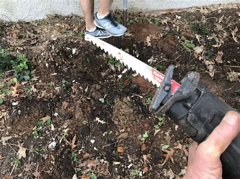 Best Sawzall Blade For Cutting Tree Roots Hotsell Cityofclovis Org