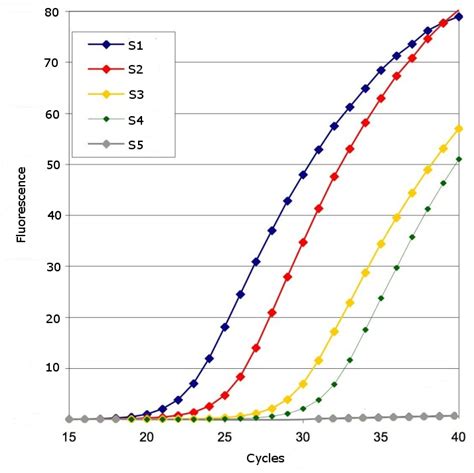 how does qpcr work technology basics biosistemika