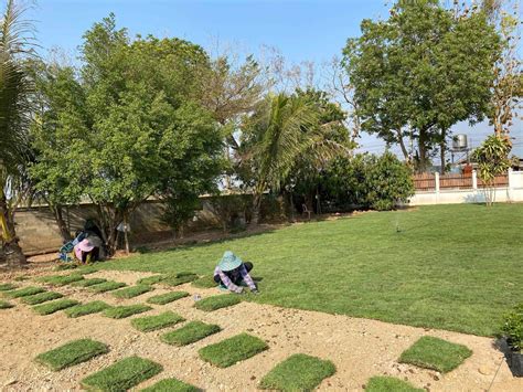 ແອໂຣລາວ Aerolaos Added A New Photo — At ແອໂຣລາວ Aerolaos