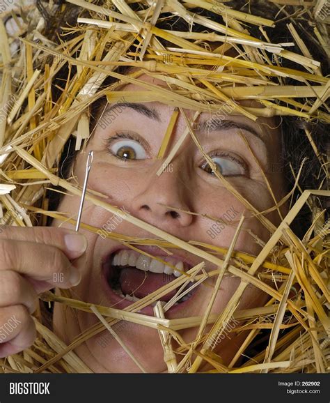 Needle Haystack Image And Photo Free Trial Bigstock
