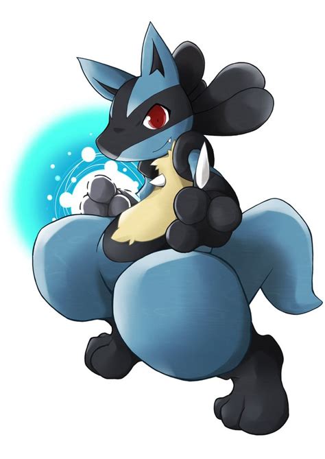 Lucario And Riolu Temple Pokemon Art Pokemon Character