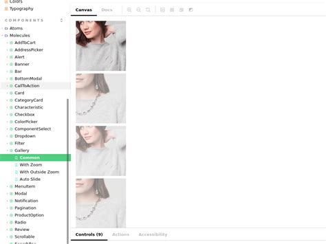 Bug Sfgallery Main Image Doesnt Show On Firefox · Issue 1767