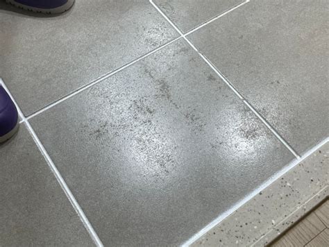 다이소 다목적 세정제 욕실 Pb1 화장실 청소세제 네이버 블로그