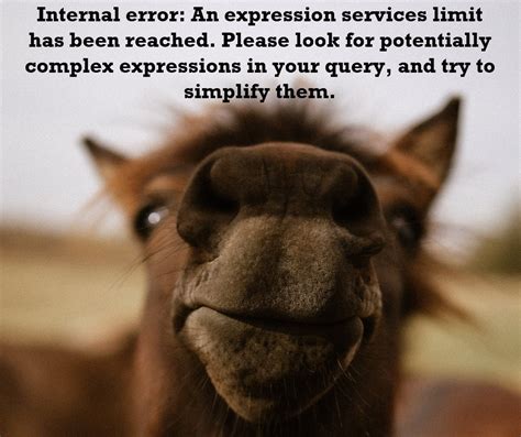Sql Server Fix Error 8632 Internal Error An Expression Services Limit Has Been Reached