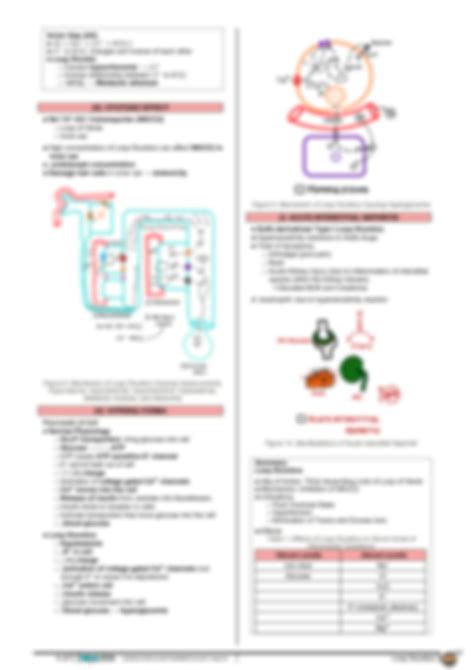 SOLUTION Cardiovascular Pharmacology Loop Diuretics Mechanism Of Action Studypool