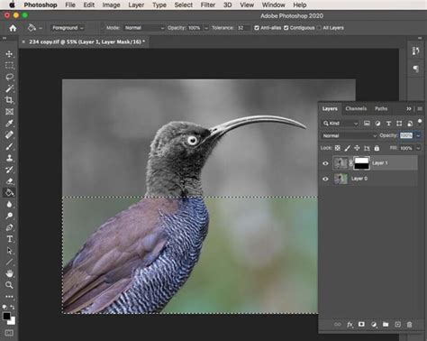 How To Crop A Layer In Photoshop 3 Best Methods Photographyaxis