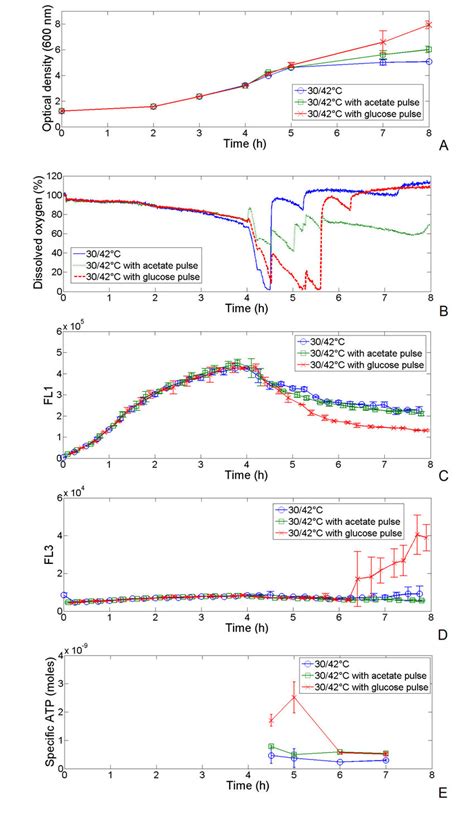 Follow Up Of Parallelized Cultures Of E Coli Pfisgfpaav In 200 Ml Download Scientific