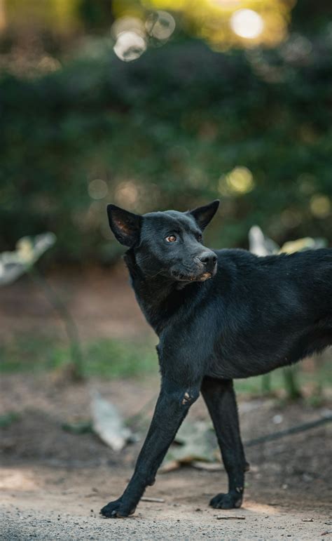 Free Roblox Verification Image Photos Download The Best Free Free Roblox Verification Image