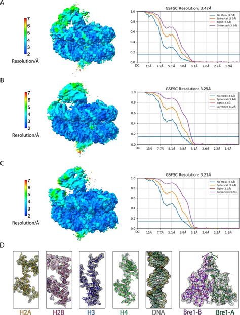 Cryo Em Validation And Example Density A C Local Resolution Estimation Download Scientific