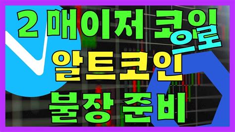 2 메이저 코인으로 알트코인 불장 준비 Youtube