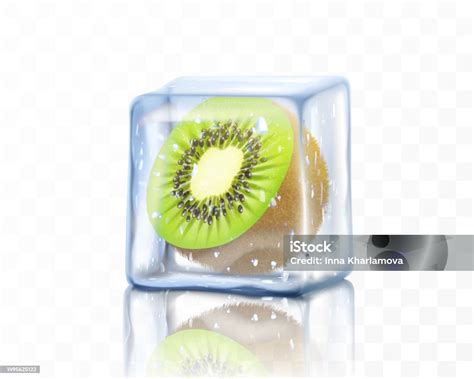 얼음 조각에 담긴 신선한 익은 키위 반쪽이 투명한 배경에 분리되어 있다 얼어붙은 녹색 키위 사실적인 3d 벡터 그림 3차원 형태에 대한 스톡 벡터 아트 및 기타 이미지