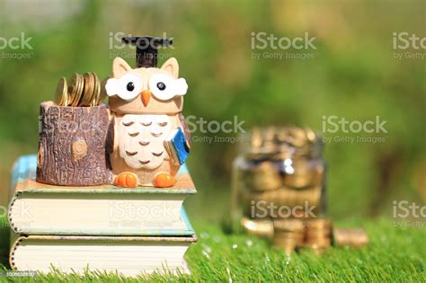 책에 졸업 모자에 올빼미 및 자연 녹색 배경에 유리병에 동전 돈을 스택 교육 개념에 대 한 비용을 절약 개념에 대한 스톡 사진