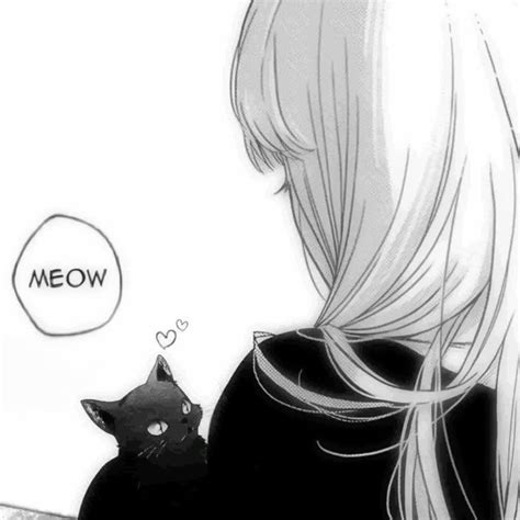 Manga Cat Pfp Cat Manga Icon White Cat Anime Pfp Cute Anime