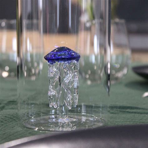 Bouteille Décorative En Verre Atlantis 12 L Méduse
