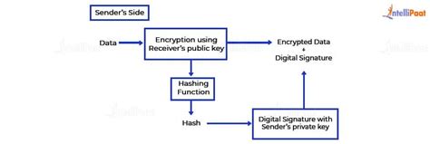 Digital Signature In Cryptography What Is Types And Algorithms