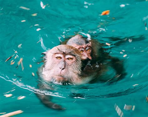 preventing click events on double click with react the performant way