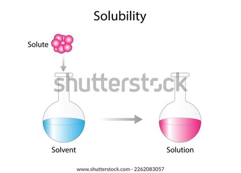 Solutions Solubility Homogeneous Mixture Solute Solvent Stock Vector Royalty Free 2262083057
